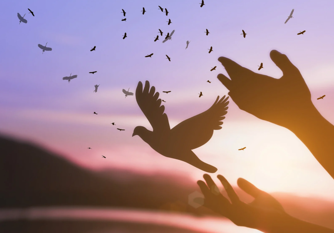 Sommarhälsning | Spes Västra Krets